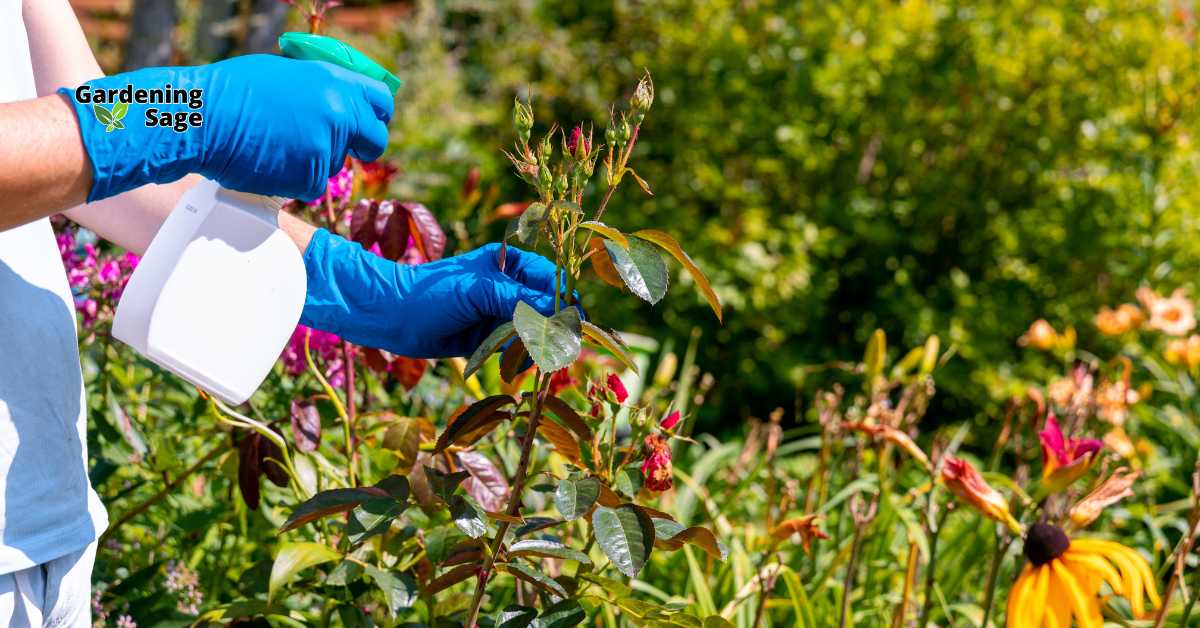 Gardener's Guide to Tackling Top Plant Diseases with Expert Tips