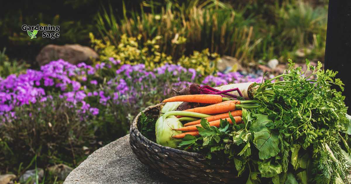 Edible Elegance: Innovative Ideas for a Stunning Vegetable and Herb Garden