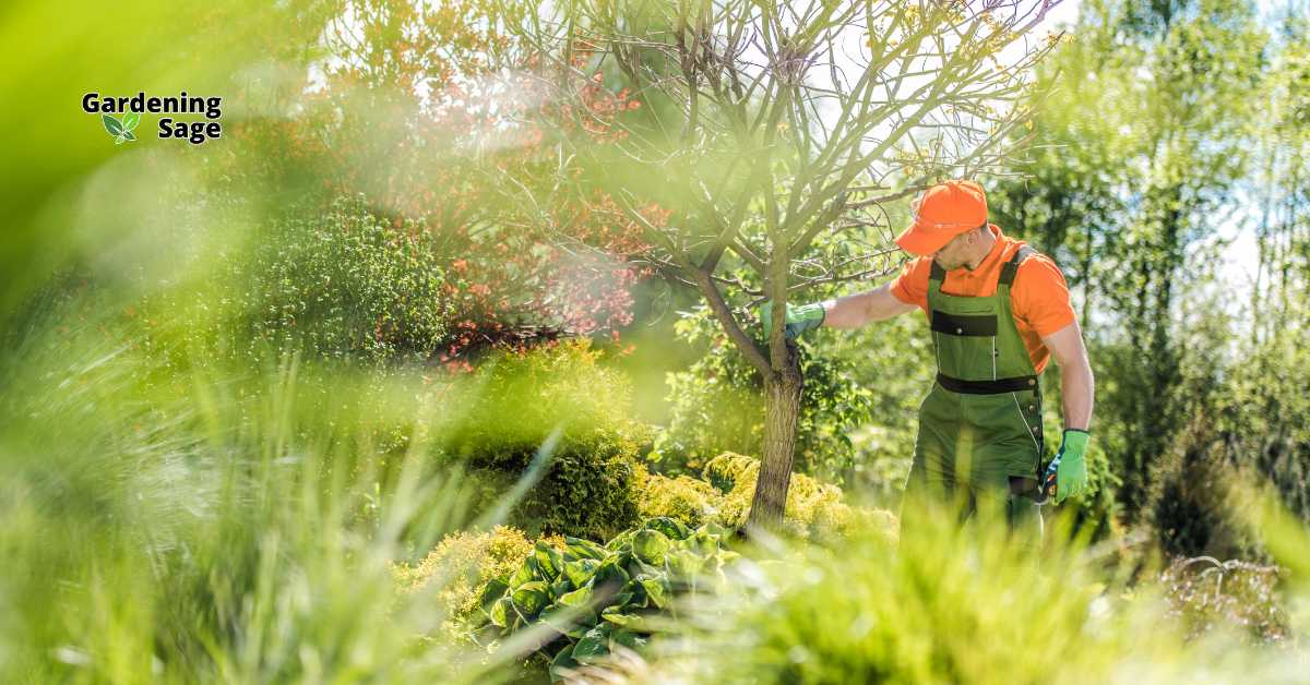 Ultimate Guide to Garden Vitality: Protect and Prosper Your Plants
