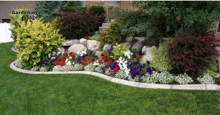 Budget-Friendly Landscaping: Transform Your Garden with Affordable ...