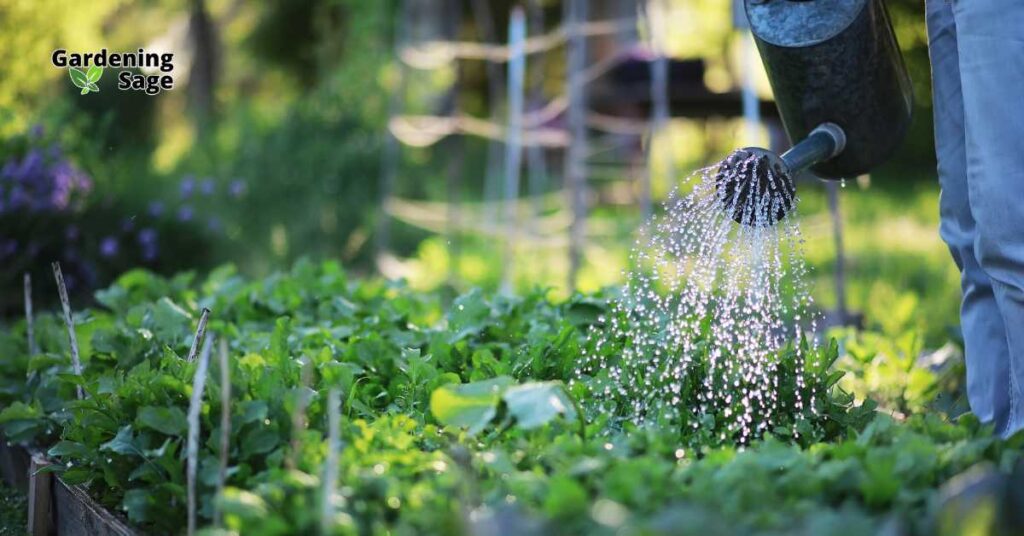 Water-Smart Gardening: Conserve Water for a Lush, Sustainable Garden ...